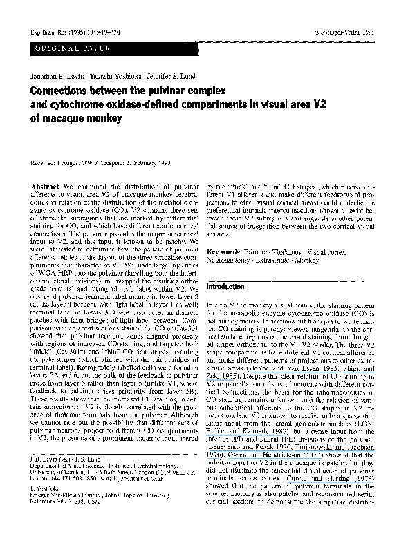 (PDF) Connections between the pulvinar complex and cytochrome oxidase-defined compartments in ...
