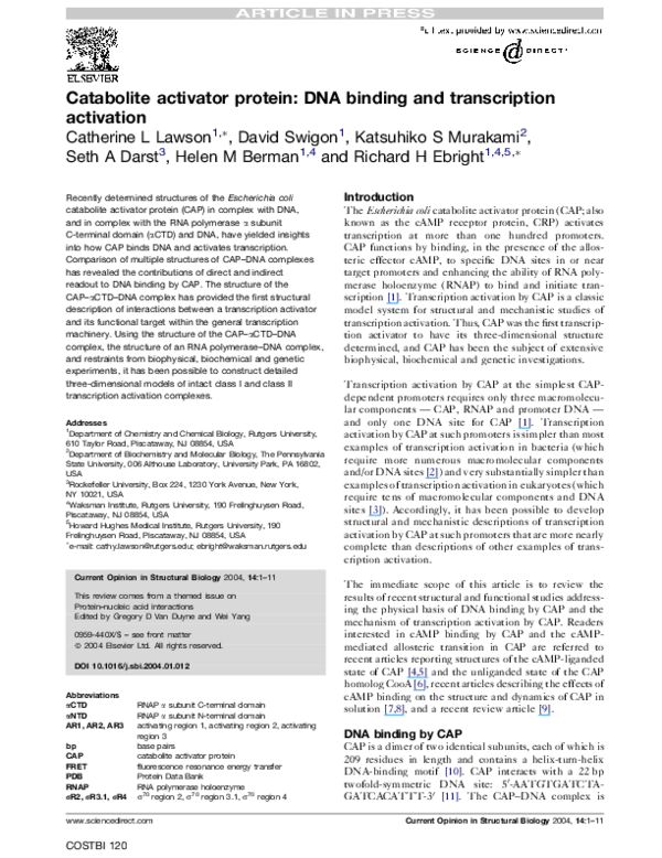 (PDF) Catabolite activator protein: DNA binding and transcription activation