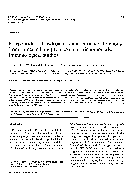 (PDF) Hydrogenosomes in a mixed isolate of Isotricha prostoma and ...