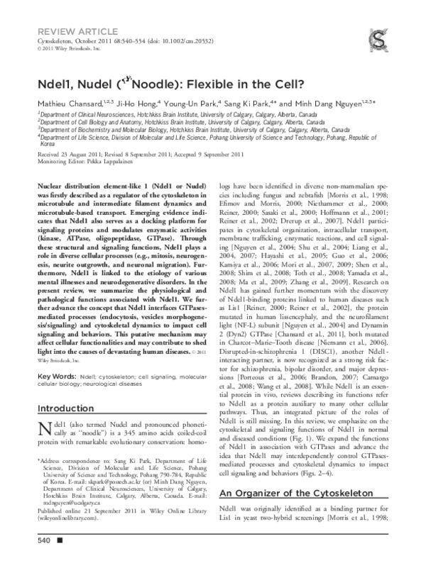 (PDF) Ndel1, Nudel ( Noodle): Flexible in the cell?