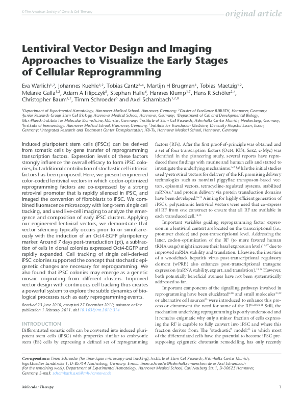 (PDF) Lentiviral Vector Design and Imaging Approaches to Visualize the ...