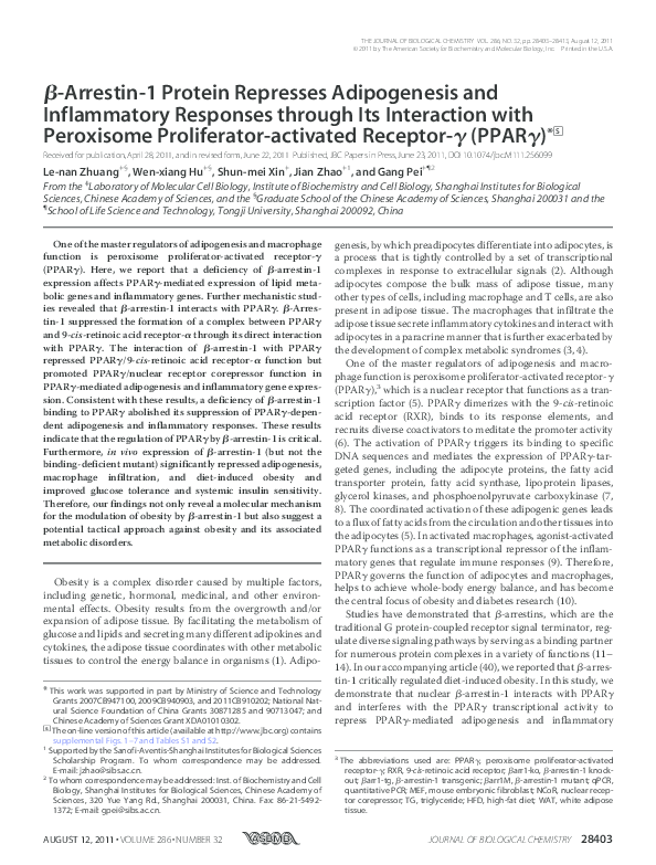 (PDF) Beta-arrestin-1 protein represses adipogenesis and inflammatory ...