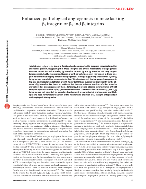 (PDF) Enhanced pathological angiogenesis in mice lacking β3 integrin or ...