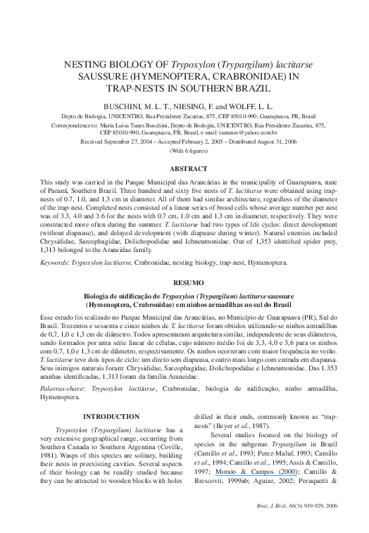 (PDF) Nesting biology of Trypoxylon (Trypargilum) lactitarse Saussure ...