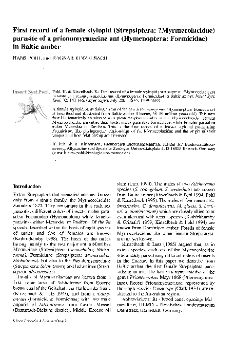 (PDF) First record of a female stylopid (Strepsiptera: ?Myrmecolacidae ...