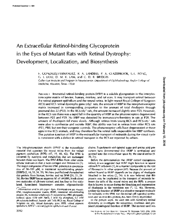 (PDF) An extracellular retinol-binding glycoprotein in the eyes of ...
