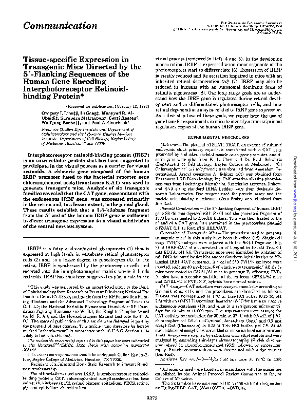 (PDF) Tissue-specific IRBP Gene Expression in Mice