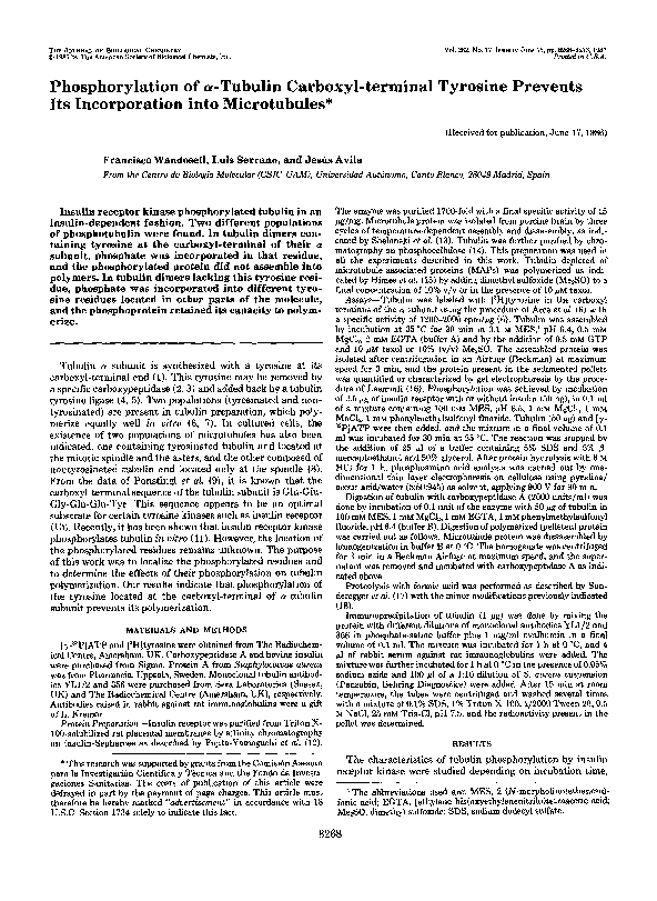 (PDF) Phosphorylation of α-tubulin carboxyl terminal tyrosine prevents ...