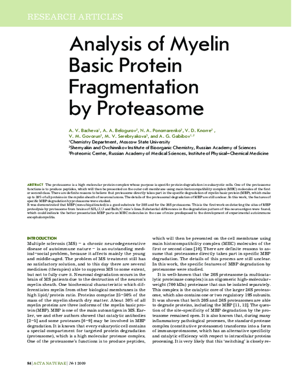 (PDF) Analysis of myelin basic protein fragmentation by proteasome