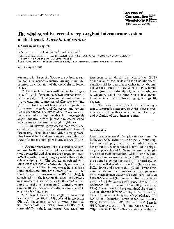 (PDF) The wind-sensitive cercal receptor/giant interneurone system of ...