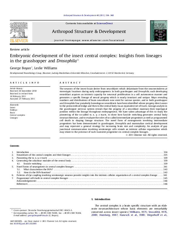 (PDF) Embryonic development of the insect central complex: Insights ...
