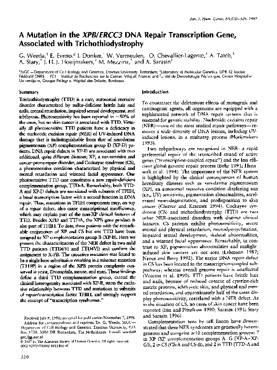 (PDF) A mutation in the XPB/ERCC3 DNA repair transcription gene ...
