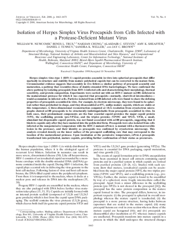 (PDF) Isolation of Herpes Simplex Virus Procapsids from Cells Infected ...