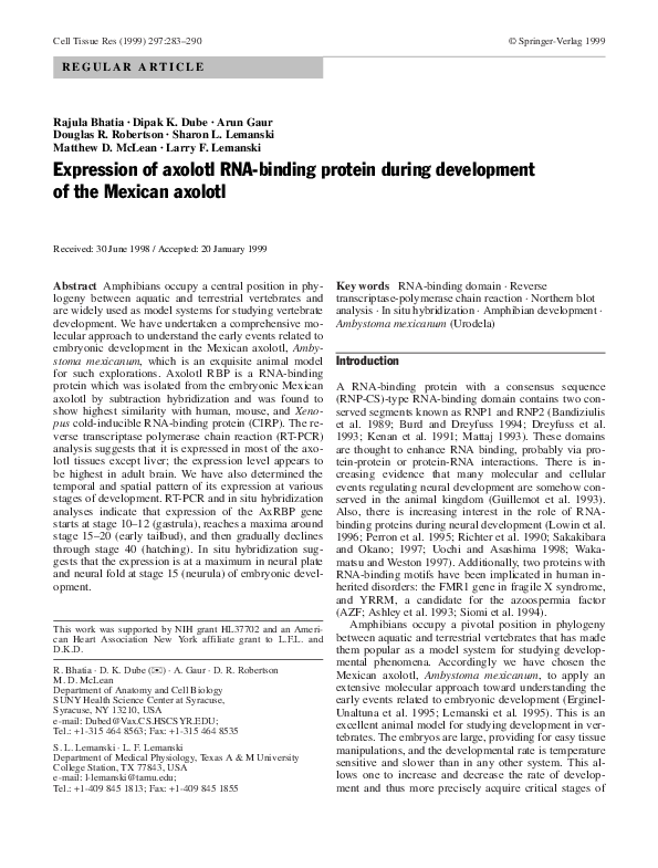 (PDF) Expression of axolotl RNA-binding protein during development of the Mexican axolotl