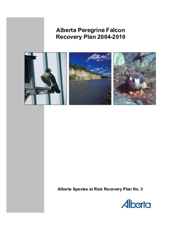 (PDF) Alberta Peregrine Falcon Recovery Plan 2004-2010 | Gordon Court ...