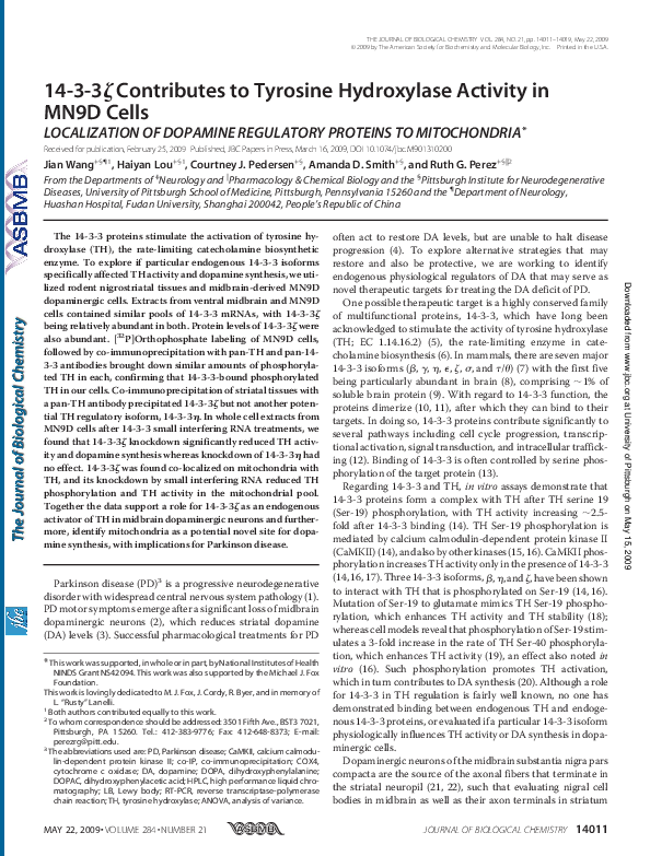 (PDF) 14-3-3 Contributes to Tyrosine Hydroxylase Activity in MN9D Cells ...