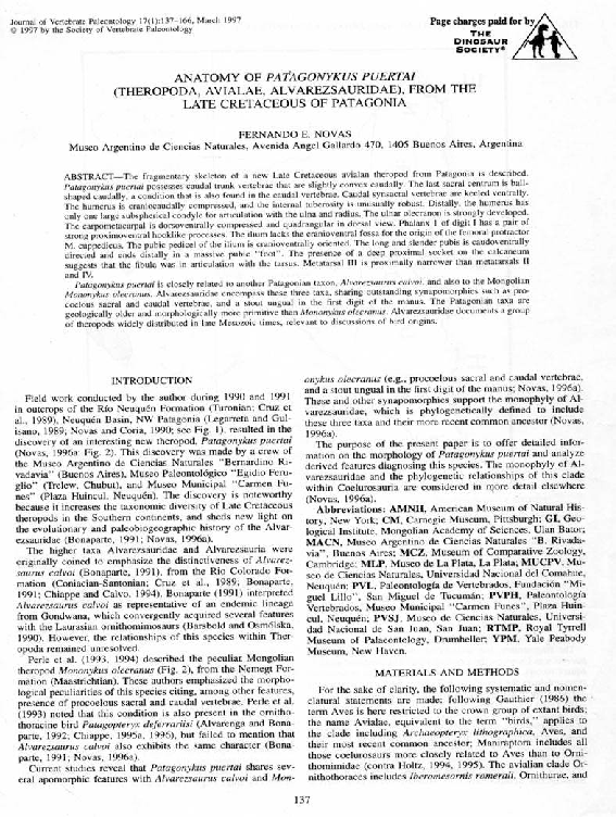 (PDF) Anatomy of Patagonykus puertai (Theropoda, Avialae ...