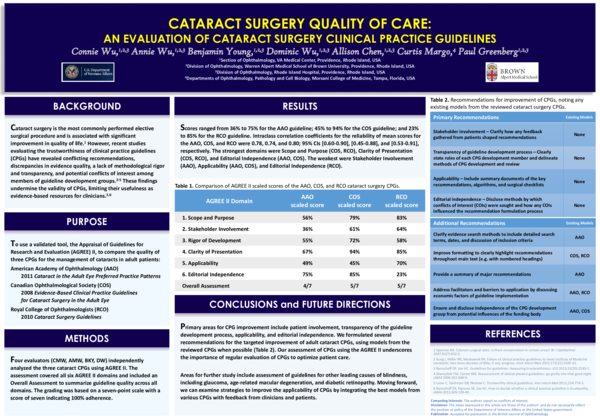 (PDF) CATARACT SURGERY QUALITY OF CARE: AN EVALUATION OF CATARACT ...