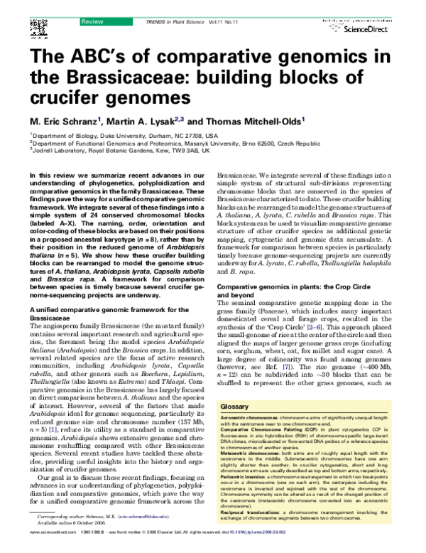 (PDF) The ABC's of comparative genomics in the Brassicaceae: building ...