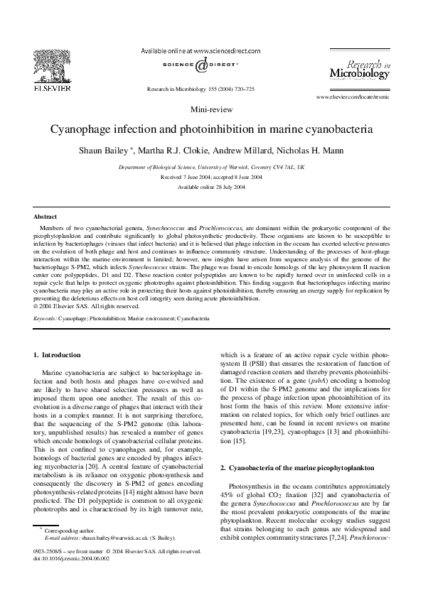 (PDF) Cyanophage infection and photoinhibition in marine cyanobacteria