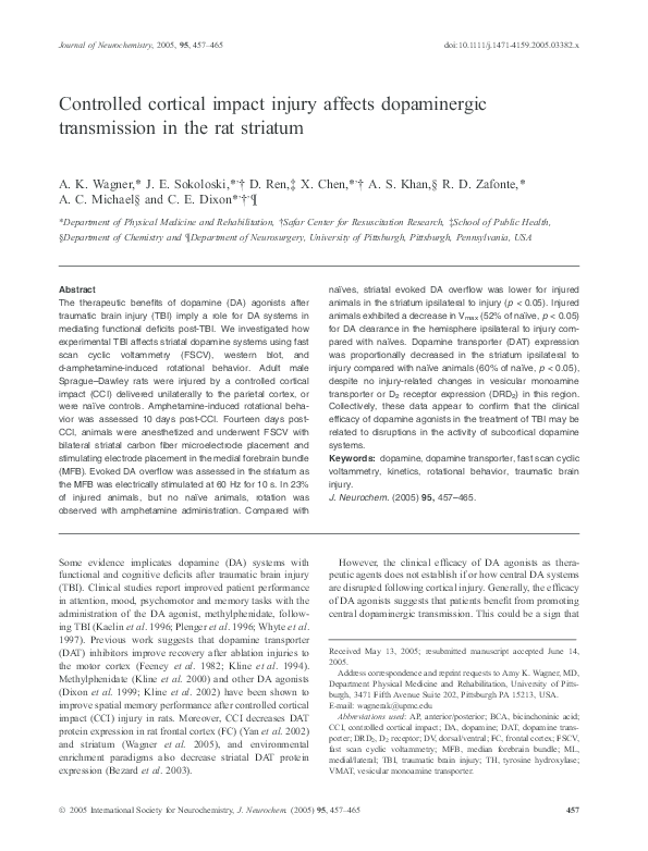(PDF) Controlled cortical impact injury affects dopaminergic ...