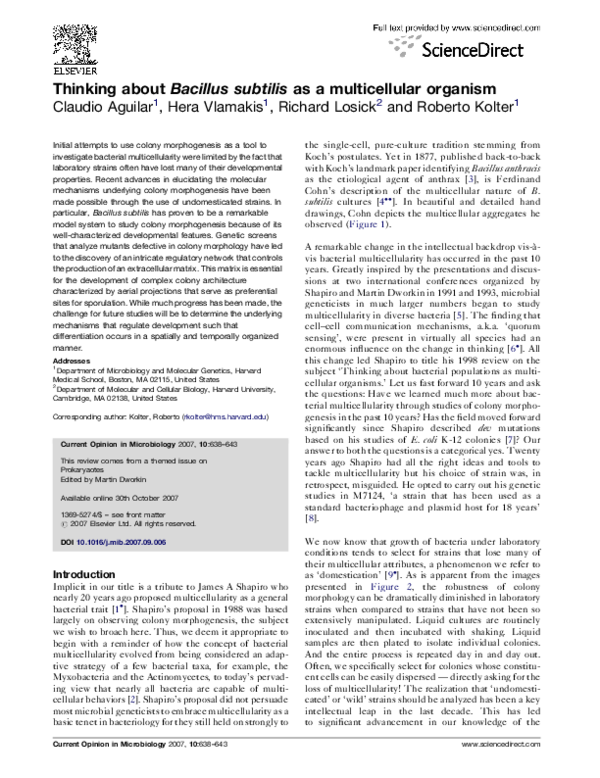 (PDF) Thinking about Bacillus subtilis as a multicellular organism