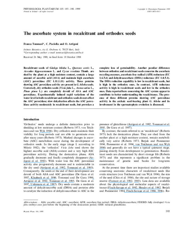 (PDF) The ascorbate system in recalcitrant and orthodox seeds