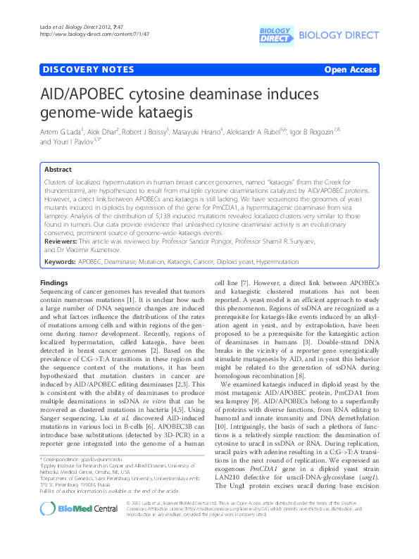 (PDF) AID/APOBEC cytosine deaminase induces genome-wide kataegis (PDF) AID/APOBEC cytosine deaminase induces genome-wide kataegis
