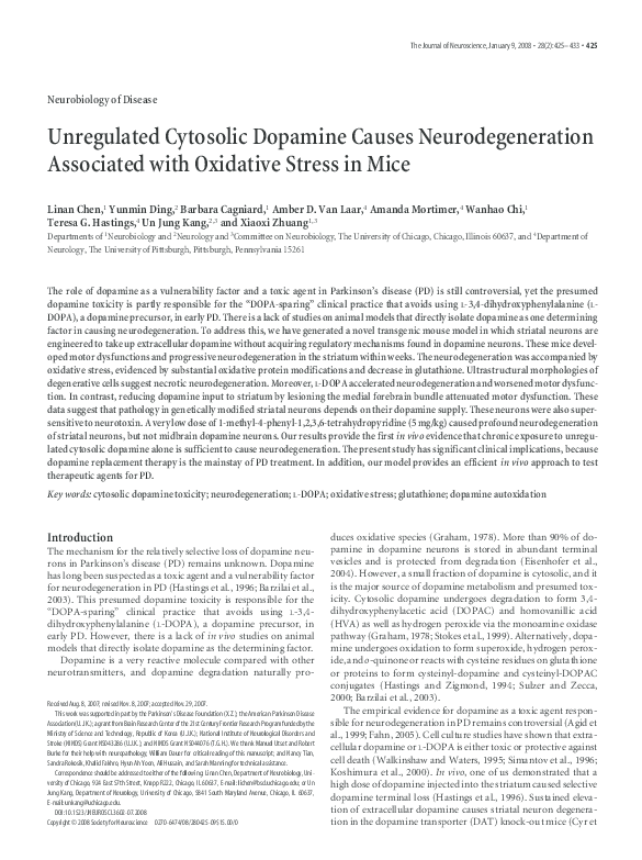 (PDF) Unregulated cytosolic dopamine causes neurodegeneration ...
