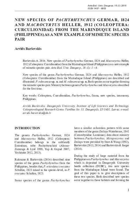 (PDF) New species of Pachyrhynchus Germar, 1824 and Macrocyrtus Heller ...