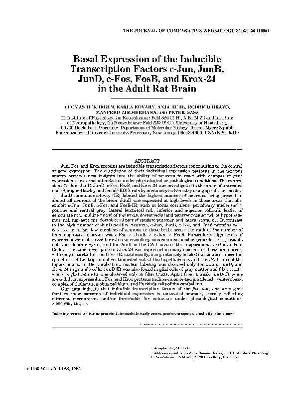 (PDF) Basal expression of the inducible transcription factors c-Jun ...