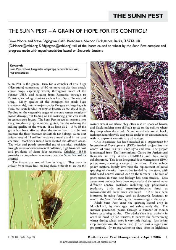 (PDF) The Sunn Pest – a grain of hope for its control
