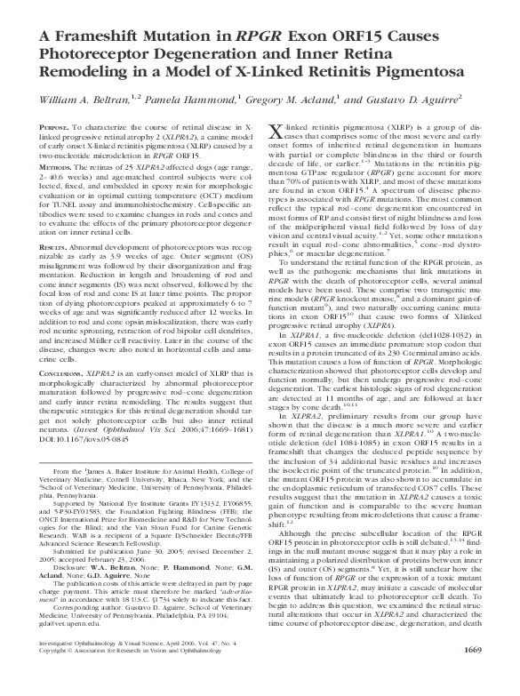 (PDF) A Frameshift Mutation in RPGR Exon ORF15 Causes Photoreceptor ...
