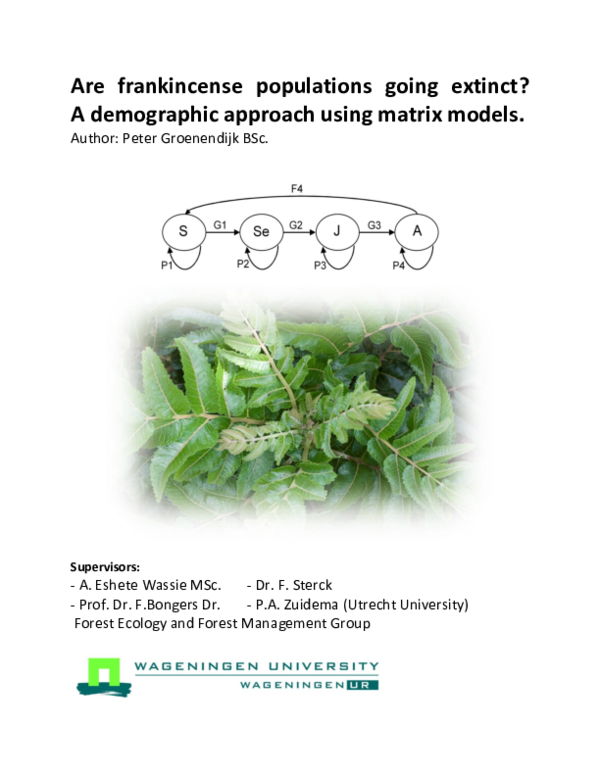 (PDF) MSc thesis: Are Frankincense Populations Going Extinct?: A Demographic Approach Using ...