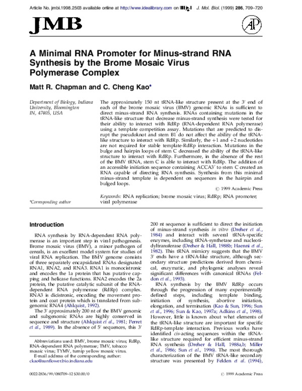 (PDF) A minimal RNA promoter for minus-strand RNA synthesis by the ...