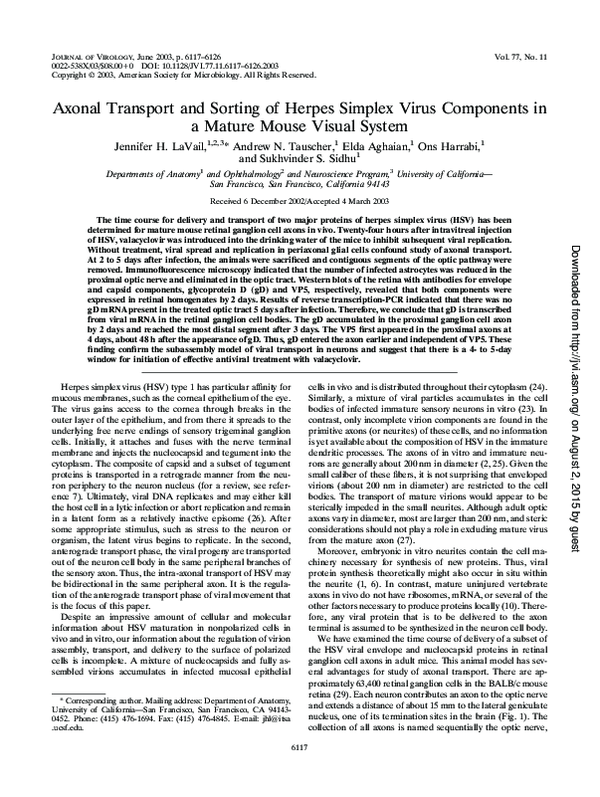 (PDF) Axonal Transport and Sorting of Herpes Simplex Virus Components ...