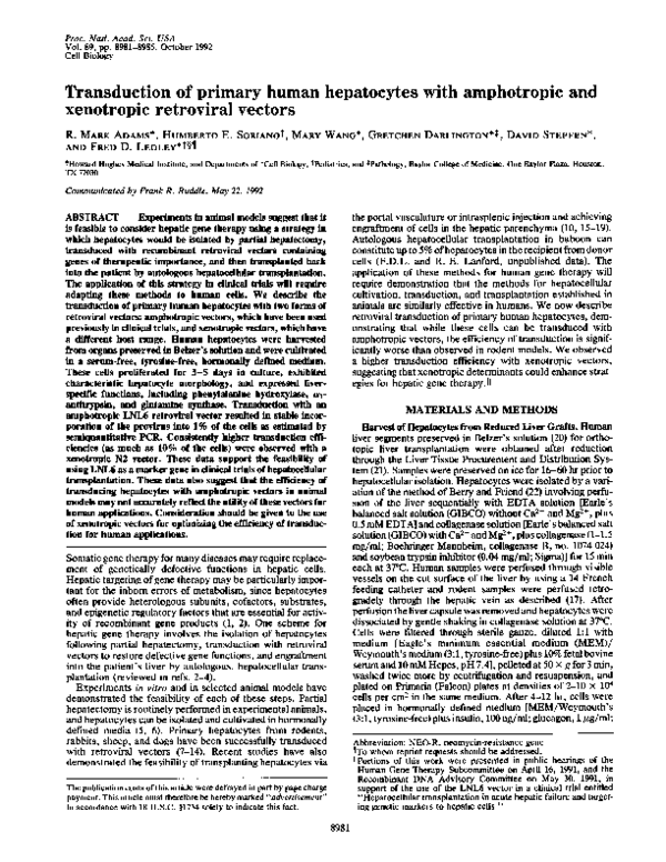 (PDF) Transduction of primary human hepatocytes with amphotropic and ...