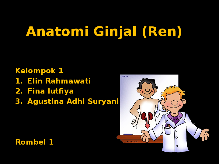(PPT) Anatomi Ginjal (Ren)