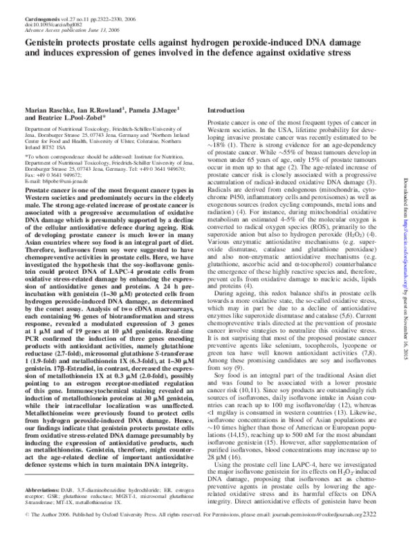 (PDF) Genistein protects prostate cells against hydrogen peroxide ...