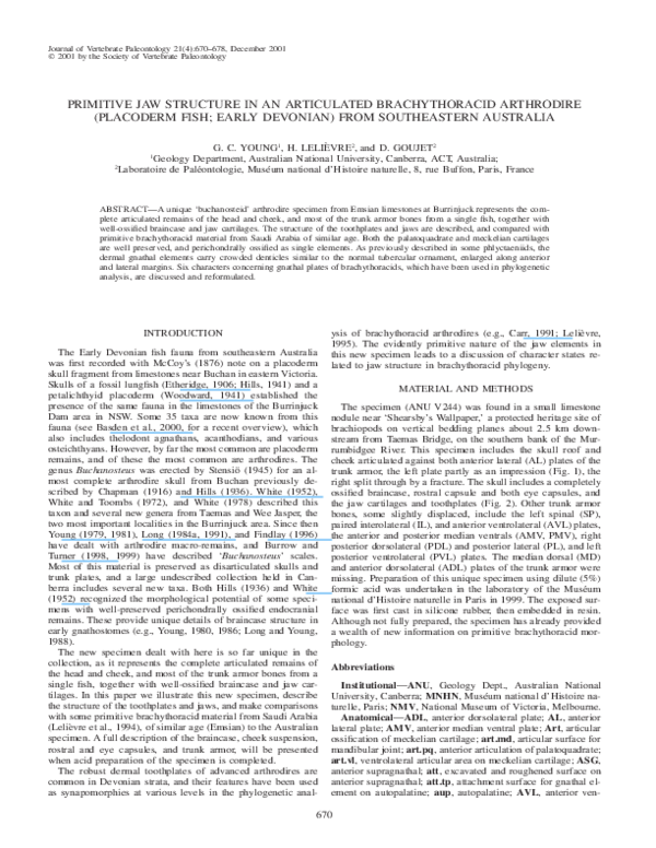 (PDF) Primitive jaw structure in an articulated brachythoracid ...