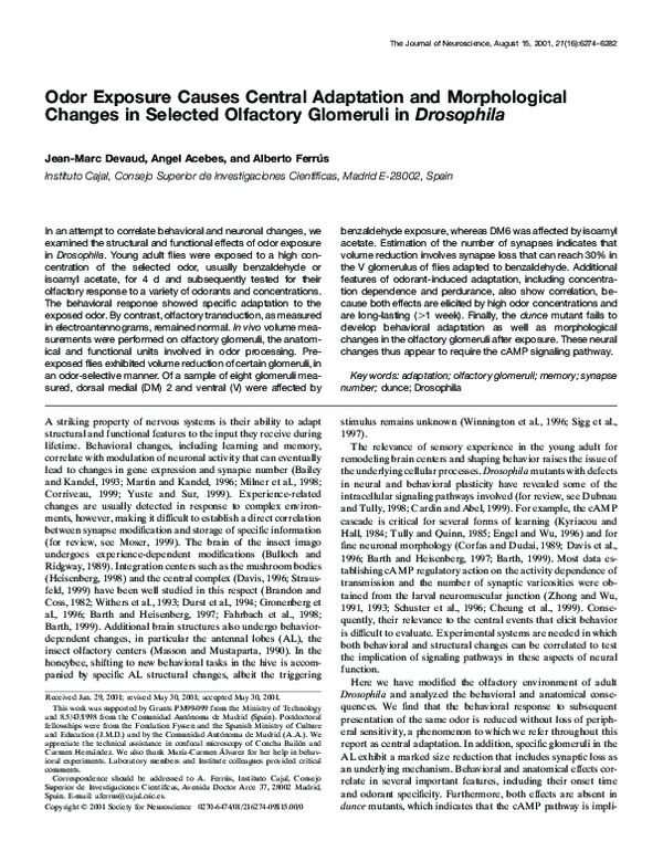 (PDF) Odor Exposure Causes Central Adaptation and Morphological Changes ...