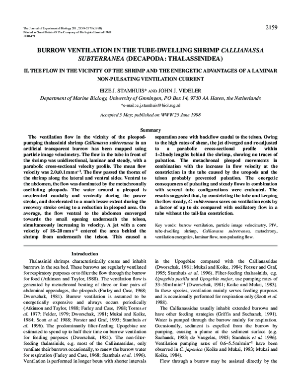 (PDF) Burrow ventilation in the tube-dwelling shrimp Callianassa ...