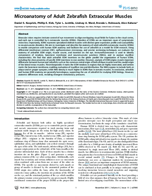 (PDF) Microanatomy of Adult Zebrafish Extraocular Muscles