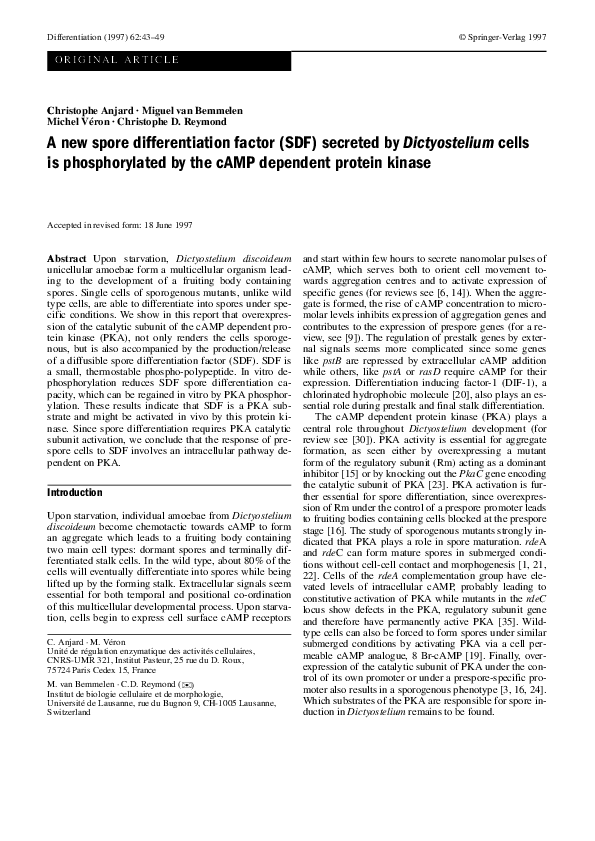 (PDF) A new spore differentiation factor (SDF) secreted by ...