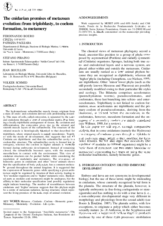 (PDF) The cnidarian premises of metazoan evolution: From triploblasty ...