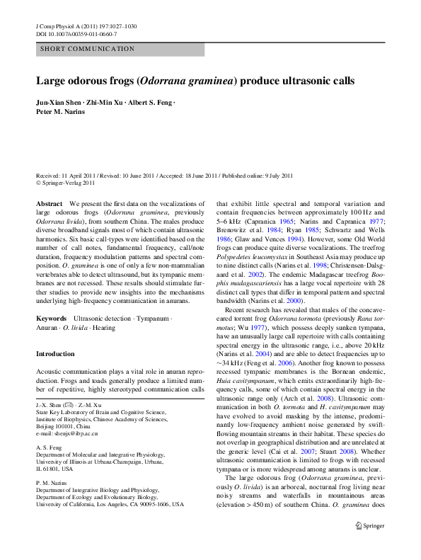 (PDF) Large odorous frogs ( Odorrana graminea ) produce ultrasonic calls