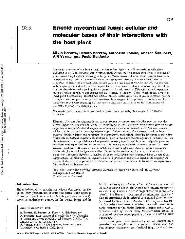 (PDF) Ericoid mycorrhizal fungi: cellular and molecular bases of their ...