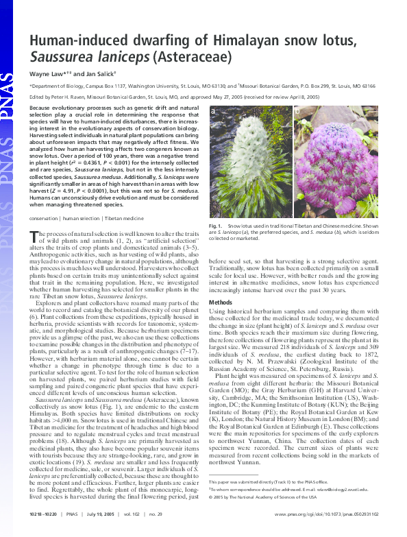 (PDF) Human-induced dwarfing of Himalayan snow lotus, Saussurea ...