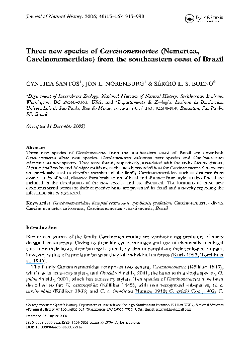 (PDF) Three new species of Carcinonemertes (Nemertea, Carcinonemertidae ...