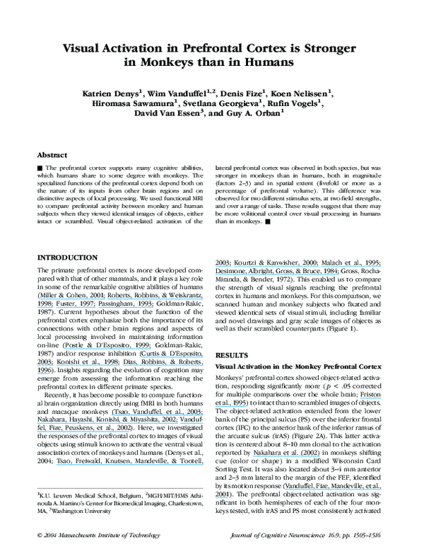 (PDF) Visual Activation in Prefrontal Cortex is Stronger in Monkeys than in Humans